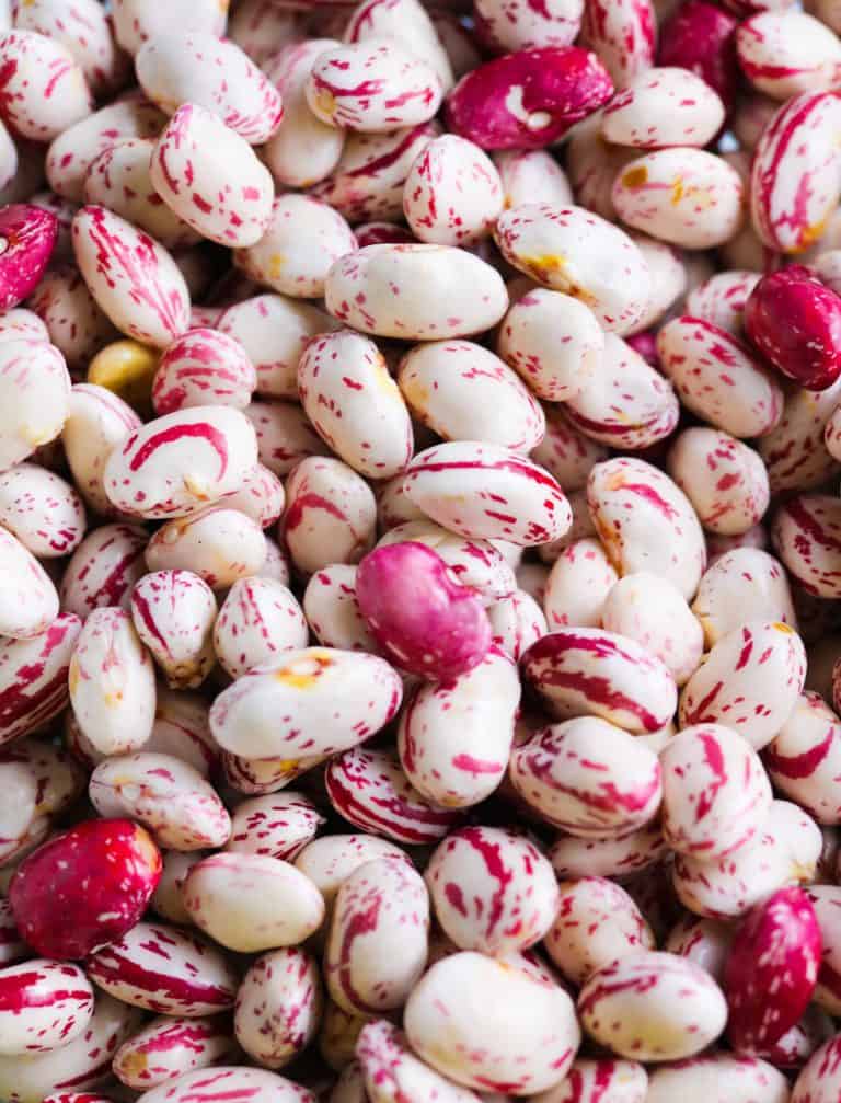 Borlotti Beans and Sundried Tomato Salad • a Veg Taste from A to Z