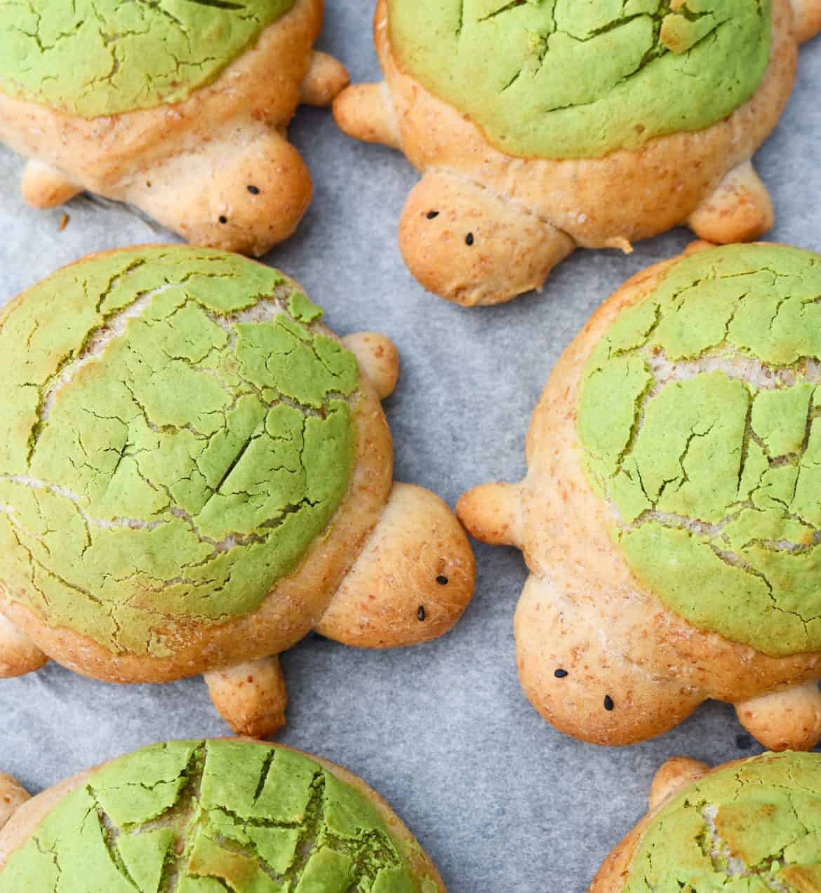 Turtle Brioche Bread Buns