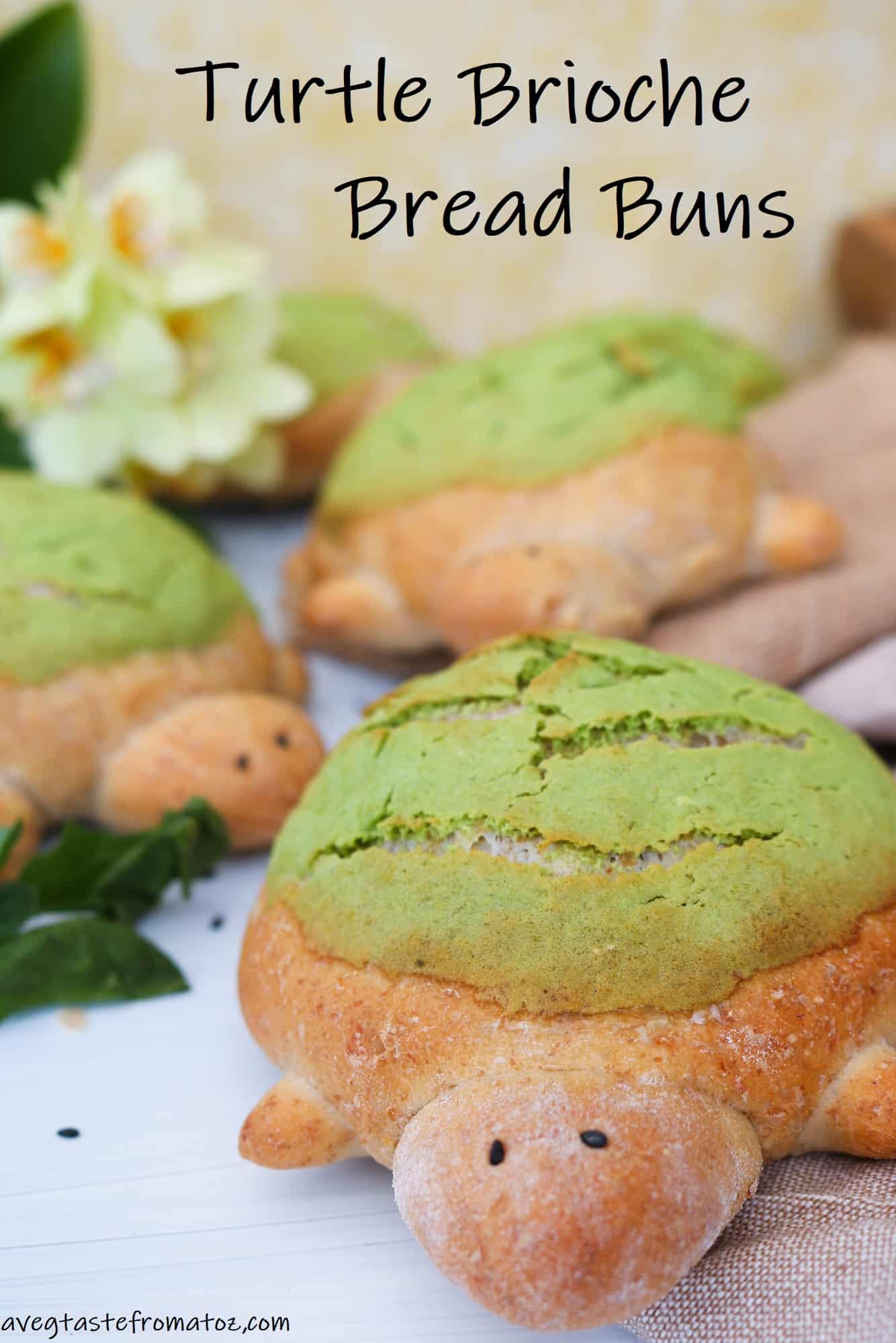 Turtle Brioche Bread Buns