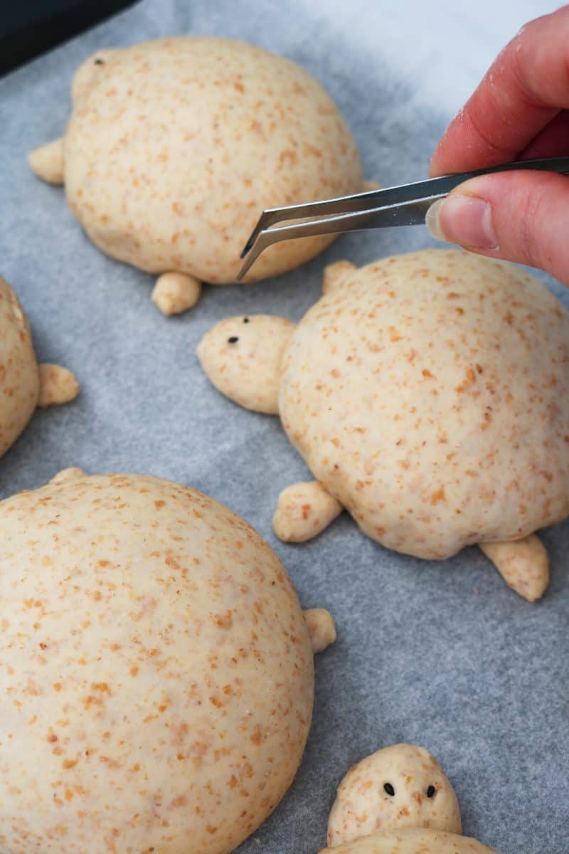 Turtle Brioche Bread Buns • a Veg Taste from A to Z