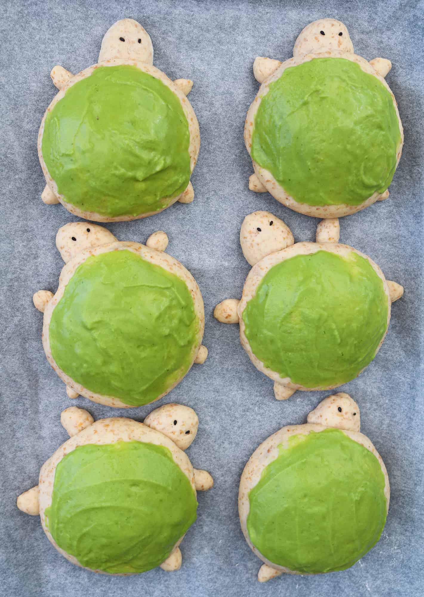 Turtle Brioche Bread Buns