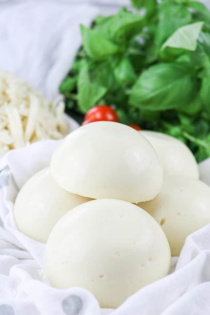 Mozzarella Vegana Filante • a Veg Taste from A to Z