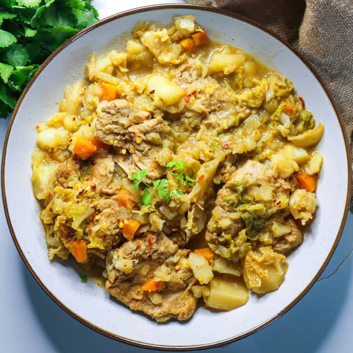 Soy Steak and Vegetable Stew • a Veg Taste from A to Z