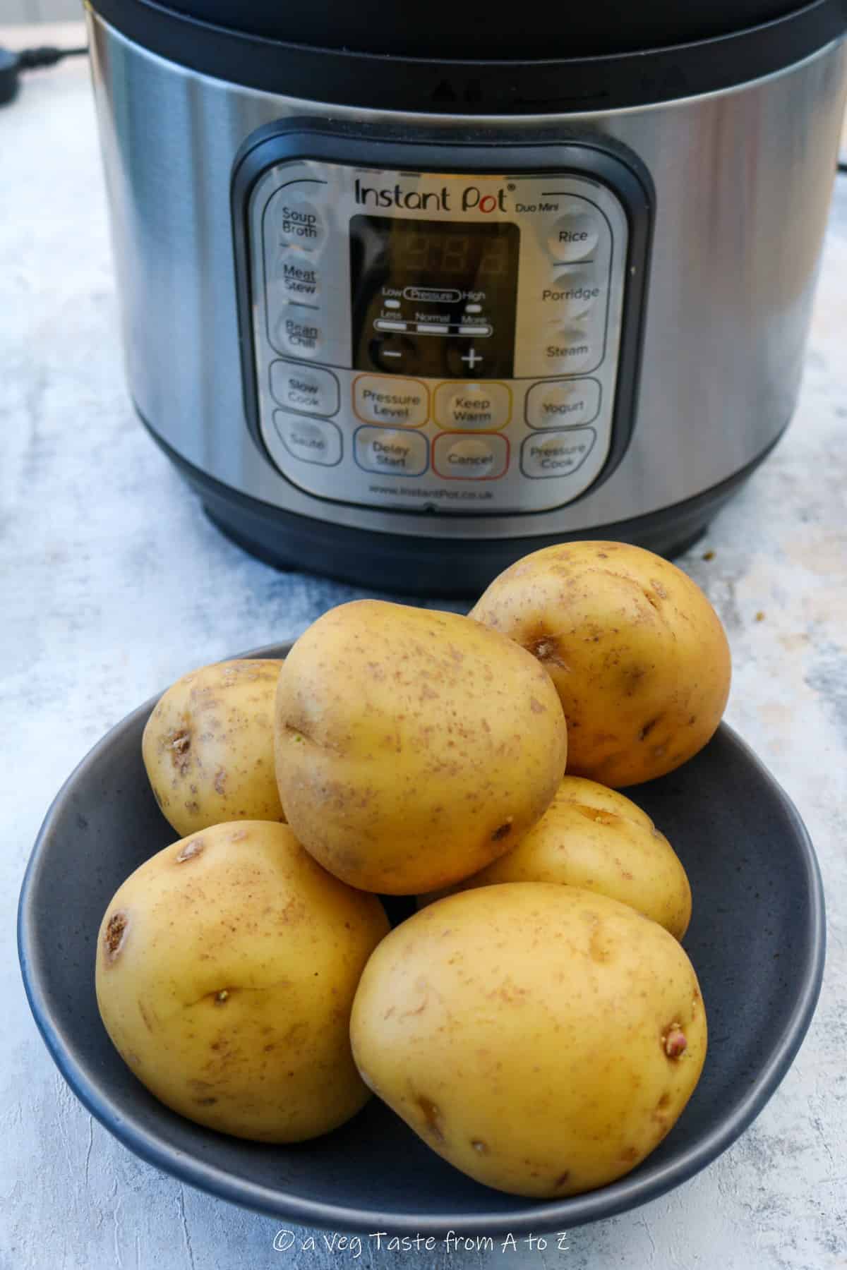 How to Cook Potatoes in the Instant Pot • a Veg Taste from A to Z