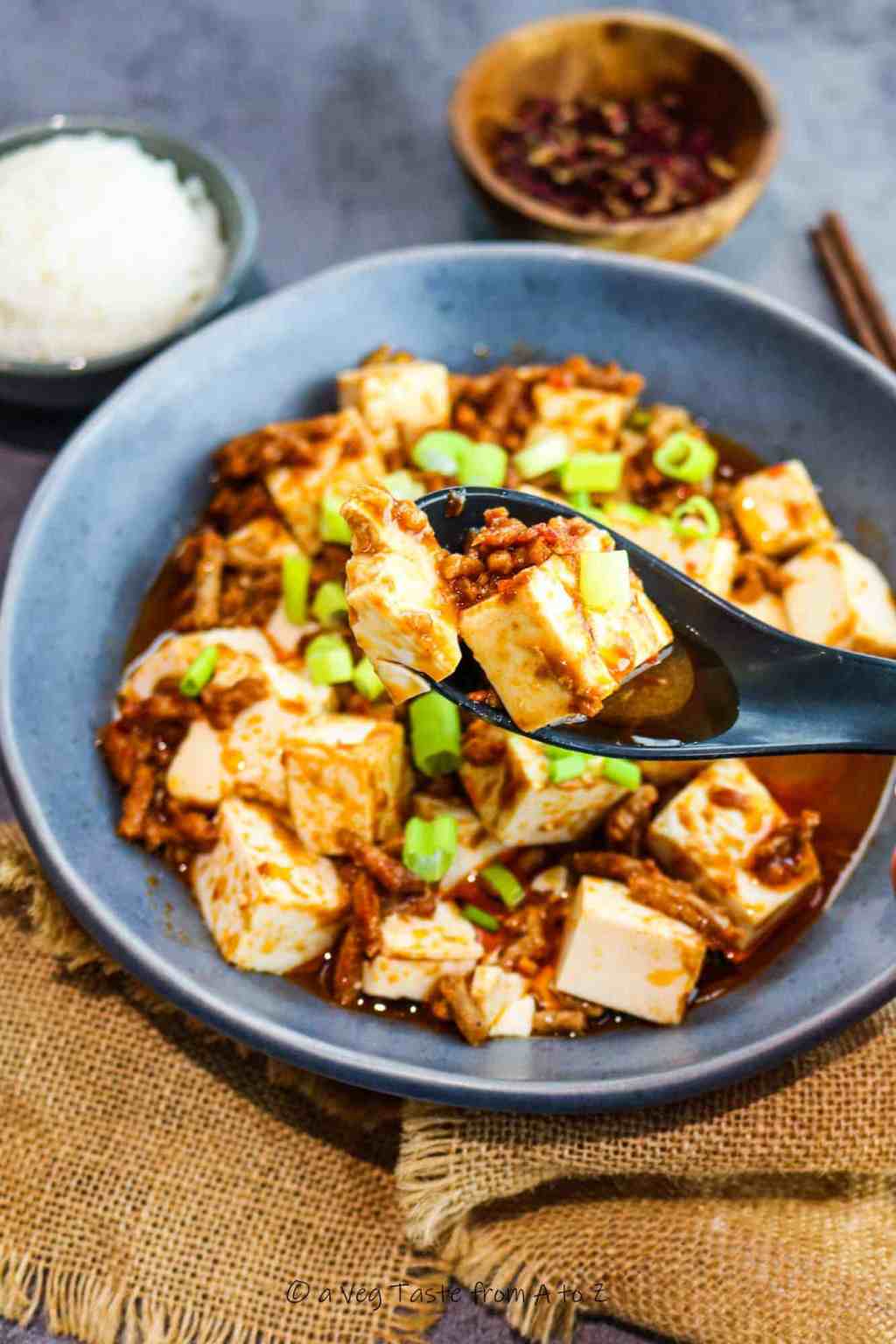 Irresistible Vegan Mapo Tofu • a Veg Taste from A to Z